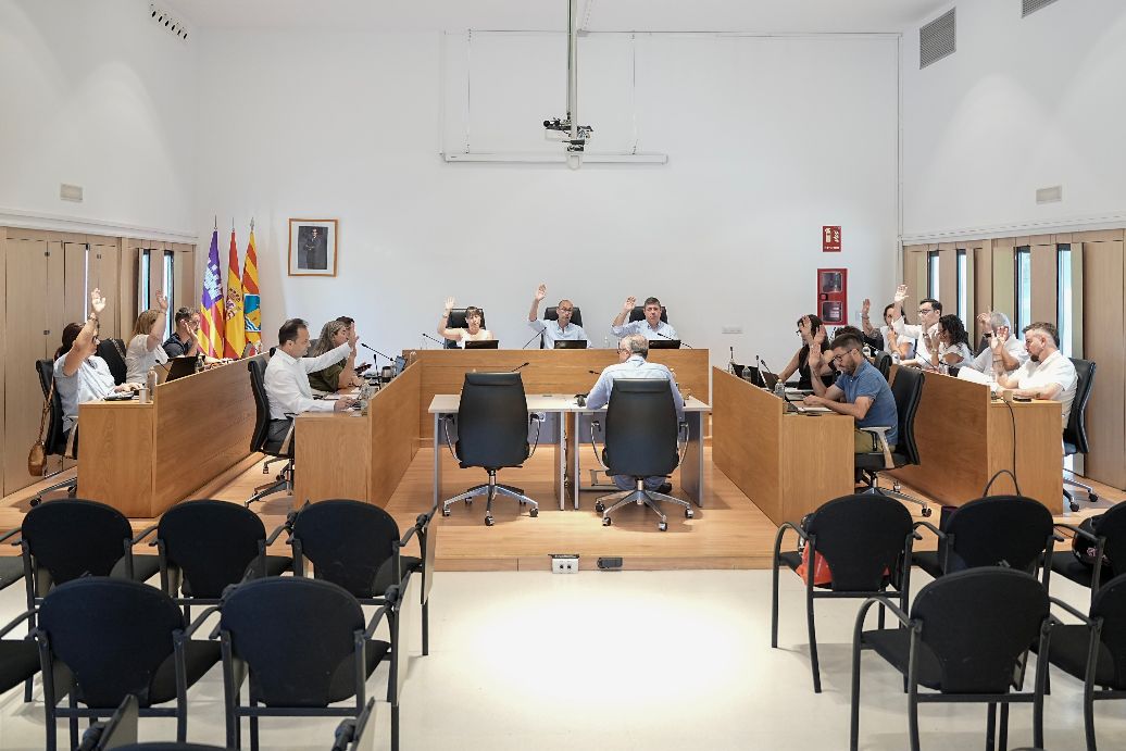 Aprovades totes les iniciatives del Debat de l'Estat de l'illa: 26 per ...